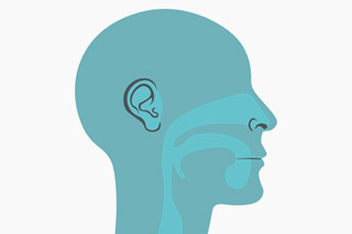 ENT - Ear, Nose and Throat Surgery - RZ-Medizintechnik